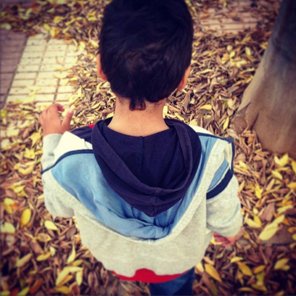 El ruido de las hojas secas en otoño – Cuento en educación y terapia ...